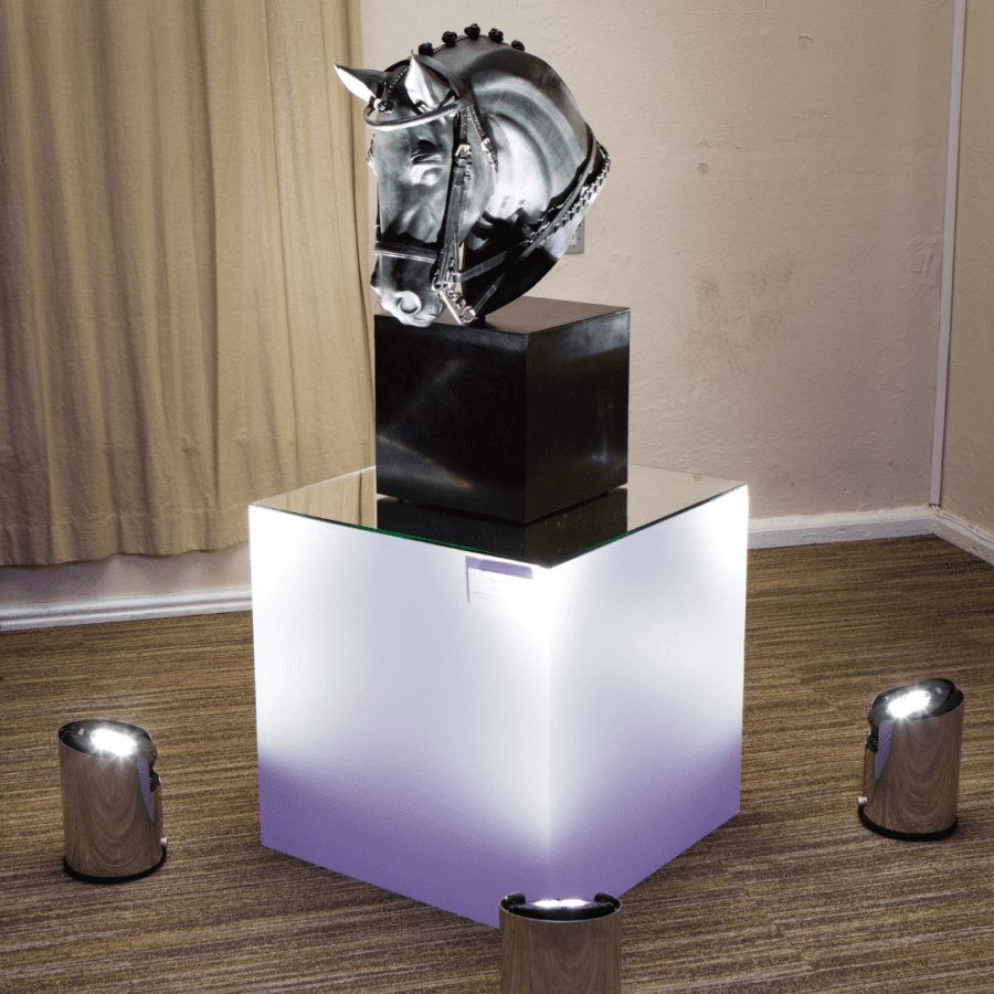 Event LED Lighting Solutions - Customizable Lighting
